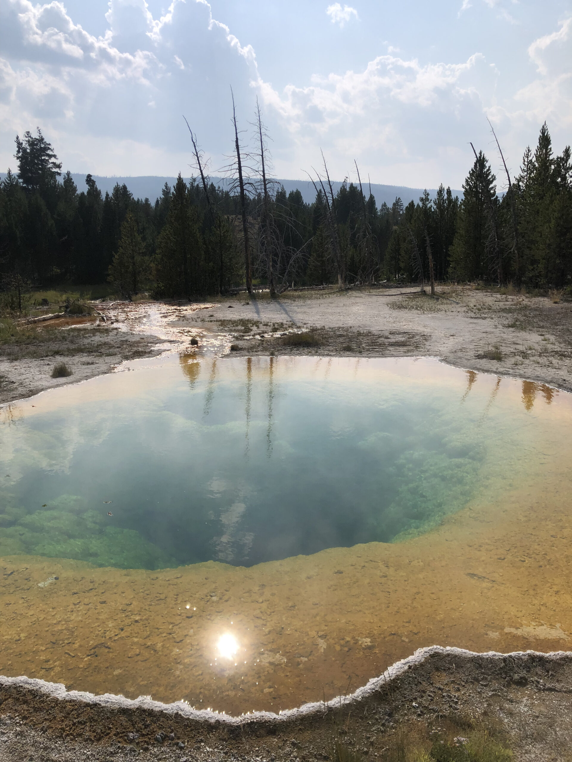 Morning Glory Pool At Yellowstone National Park - National Parks ...