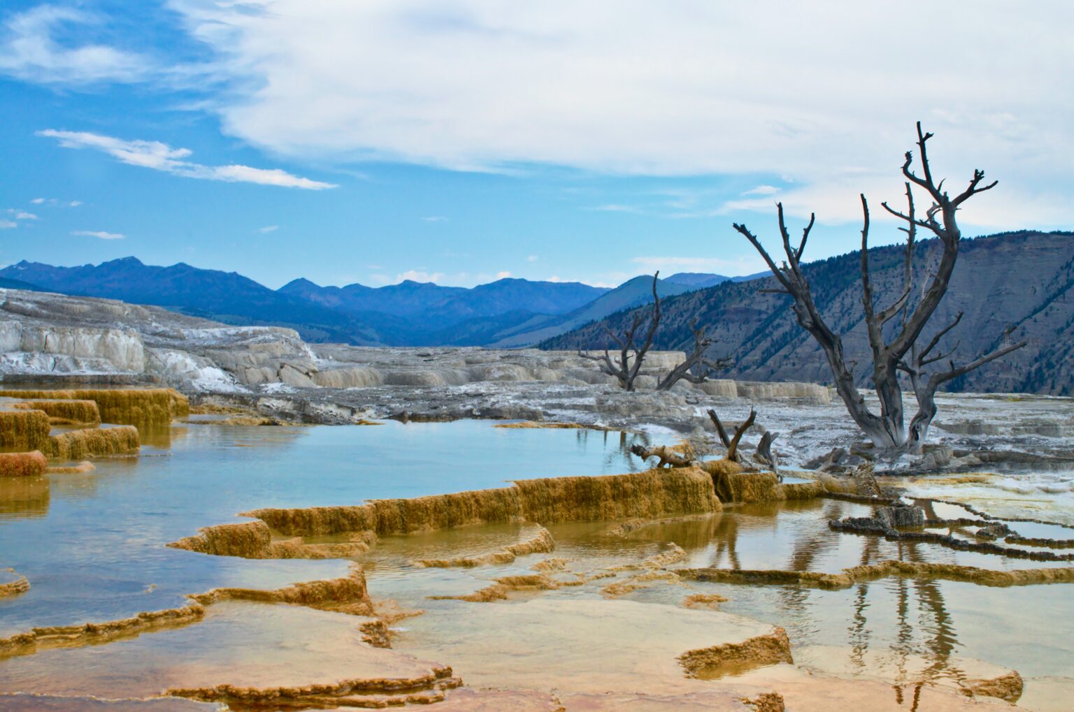What State Is Yellowstone National Park In? - National Parks Discovery ...